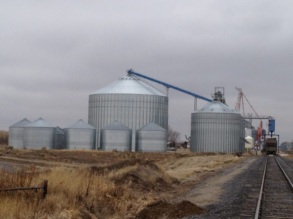 Home - Over 100 Years of Design/Build Excellence